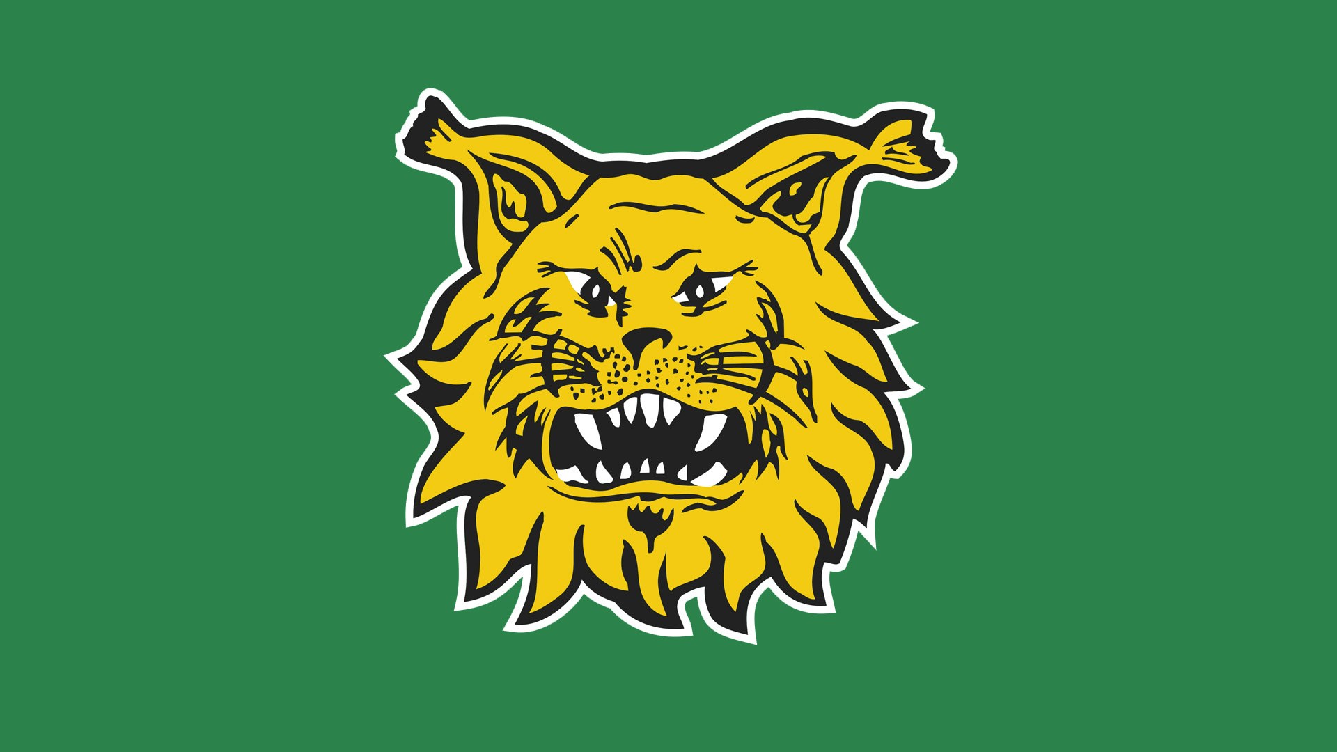 Matti Aro Ilveksen ja Tammelan Stadionin myyntipäälliköksi – Ilves Tampere